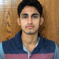Ashish Wagh - Independent Researcher