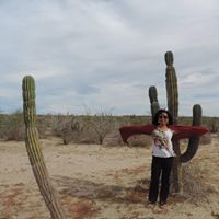 Alba Patricia Hernández Soc - UNAM Universidad Nacional Autónoma de México
