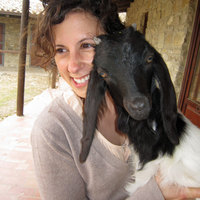 Jessica Fanzo | Columbia University - Academia.edu