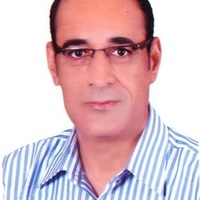 Ragab Elsheikh - Independent Researcher