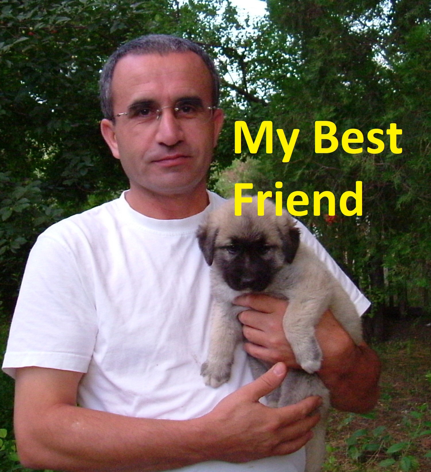 (DOC) Some Morphological Traits Of Turkish Native Horses Raised In ...