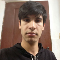 Amir Maleki - Independent Researcher