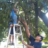 Widodo Ramadyanto - Victoria University Australia