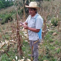 Peter van der Loo - Northern Arizona University