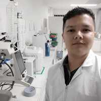 Andree Álvarez González - Academia.edu