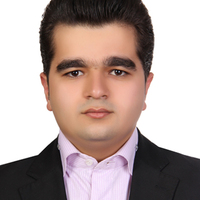 saeed karimi - Independent Researcher