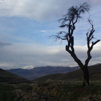 Samira Fathi - University of California, Santa Barbara