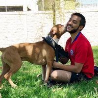 Nicolás Cuervo Ovalle | Universidad de los Andes (Colombia) - Academia.edu