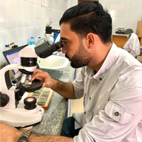 Mohamed H A S S A N Ghoneim - Independent Researcher