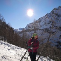 Maria Teresa Arfini - Università Degli Studi Di Roma Tre