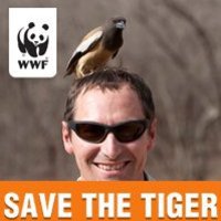 Mike Curtis | University of Cambridge - Academia.edu