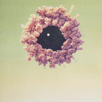 Francis Gene-Rowe - University of Southampton