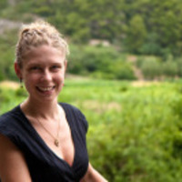 Brandy Houser - Harvard University