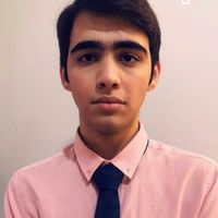 Shayan Goodarzifar - Independent Researcher