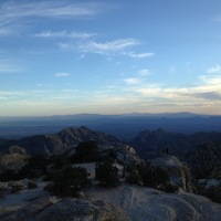 Shimrit Lee - New York University