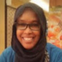 Dr. Hamdi Mohamed - Independent Researcher