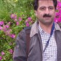 amir shabani - Academia.edu