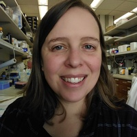 Amber McCartney | University of Michigan - Academia.edu