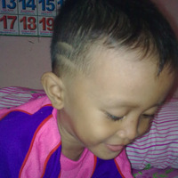 tri siswanto - Universitas Indraprasta Pgri