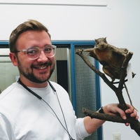 Ruslan Pozinkevych - Independent Researcher