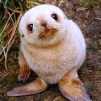 Homework Slayer - The University of Iowa