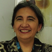 ELIZABETH VILLAGOMEZ - Independent Researcher