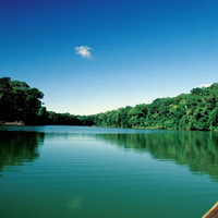 David Amaya - Independent Researcher