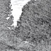 Ana Pía León M - Universidad Andrés Bello