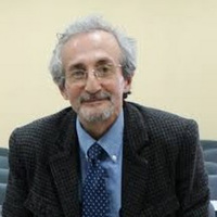 Vladimir Brovkin - Independent Researcher