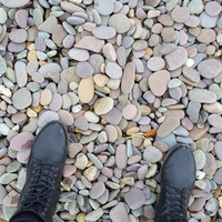 Andrea Reid PhD - The University of Queensland, Australia