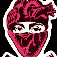 Estefany Castillo Ravanal - Independent Researcher