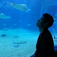 Daigo Shima - McGill University