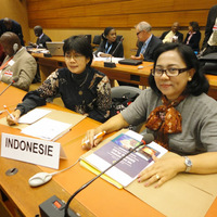 Dyah Eko Setyowati - Sekolah Tinggi Ilmu Ekonomi Bisnis Indonesia