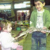 Omar Omran - Independent Researcher