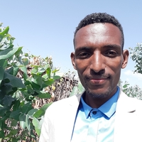 Habtamu Hailu - Independent Researcher