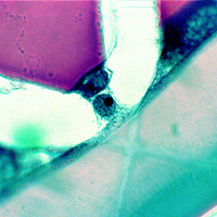 Kevin W. McCairn Ph.D. - Independent Researcher