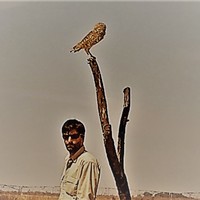 Martin G Frixione - Centro Nacional Patagónico CONICET