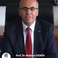 Mahmut Demir - Isparta University of Applied Sciences