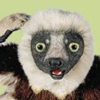 Jared Guerra - Universidad Nacional Autónoma de México