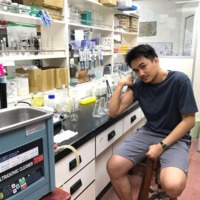 Kim Rafaelle Reyes - Independent Researcher