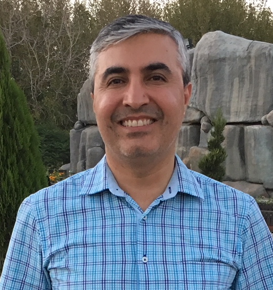 (PDF) Literature Review of Low Salinity Waterflooding from a Length and ...