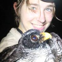 Alice Hughes - Chinese Academy of Sciences