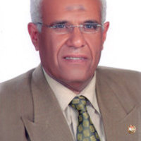 mohamed shouman - Independent Researcher