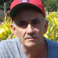 Douglas Porter - Independent Researcher