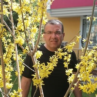 Prof. Ali Sevim - Ahi Evran Üniversitesi