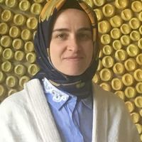 Hatice Kalfaoglu Hatipoglu - Ankara Yildirim Beyazit University