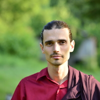 Justin Wall - Independent Researcher