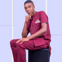 Stephen Olaniyi Bayode - Independent Researcher