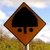 Mark Kirwan - Academia.edu