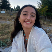 Sude Uzun - Bandirma Onyedi Eylul University